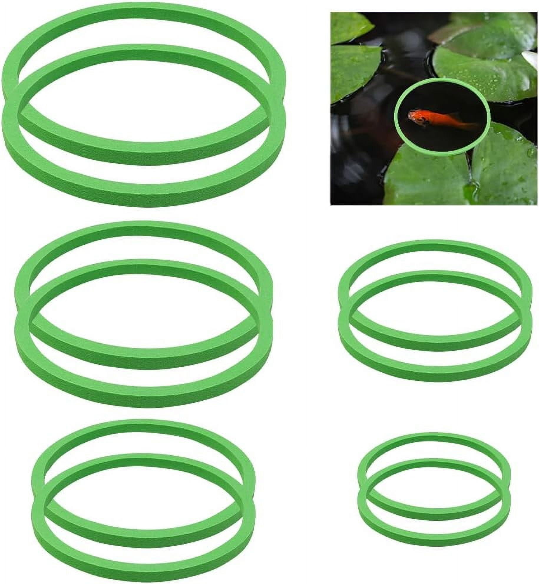 10Pcs Fish Feeding Rings Set Aquarium Floating Plant Rings 5 Sizes Foam ...