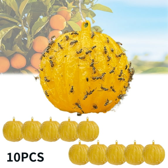 10Pcs Hanging Sticky Fly Trap Balls For Indoor And Outdoor Spaces ...