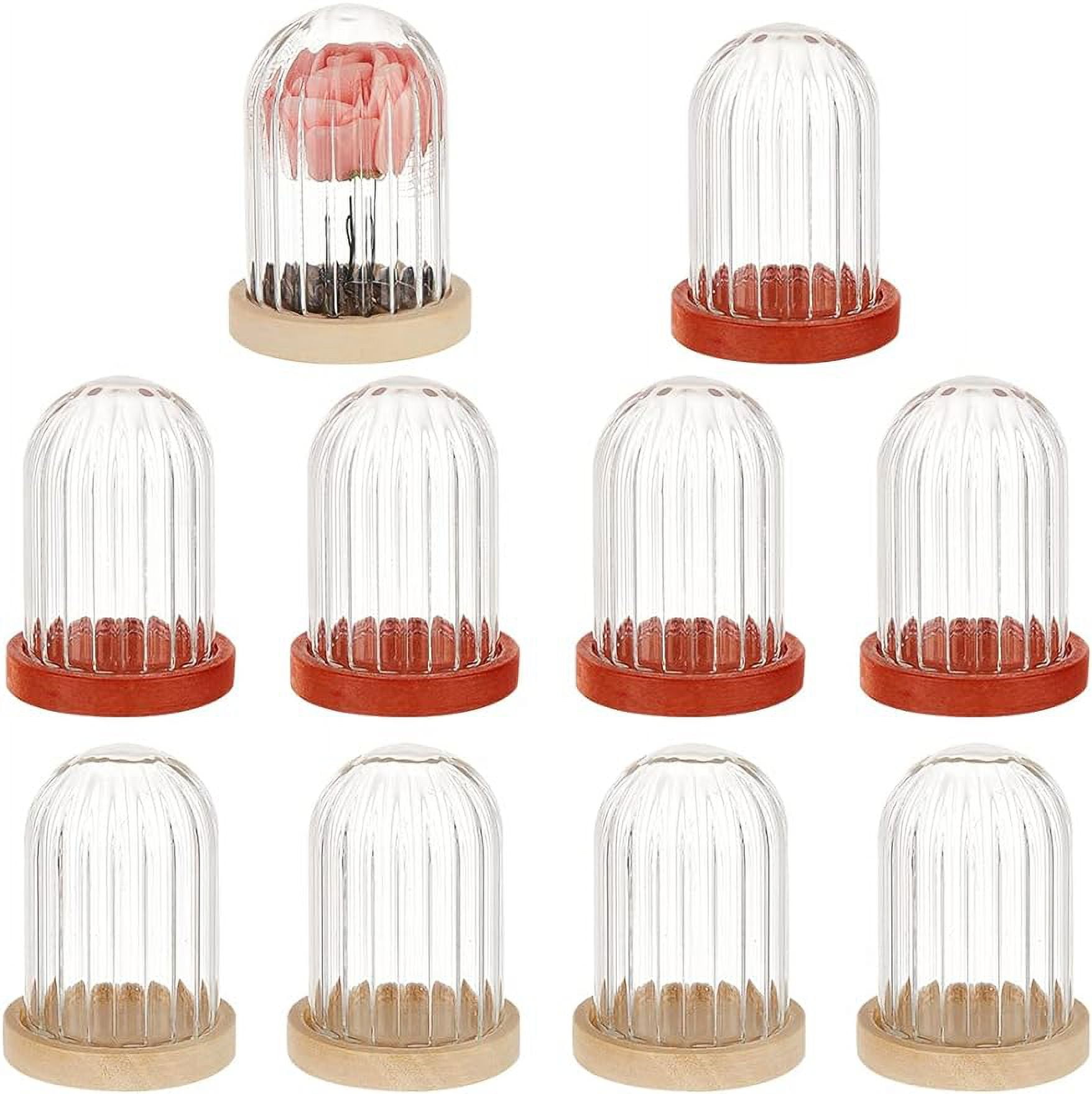 10Pcs Mini Glass Dome 1.5×1inch in Diameter Glass Display Dome Glass ...