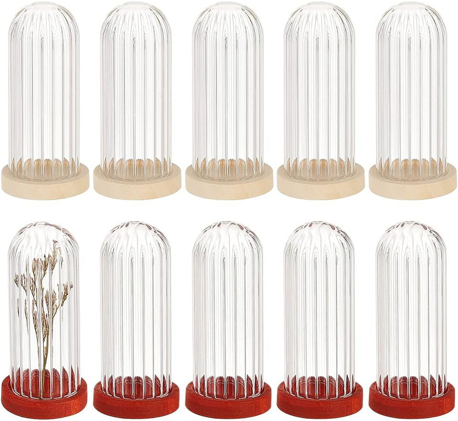 10Pcs Mini Glass Dome 1.96×0.78" Glass Display Dome Glass Cloche Dome ...