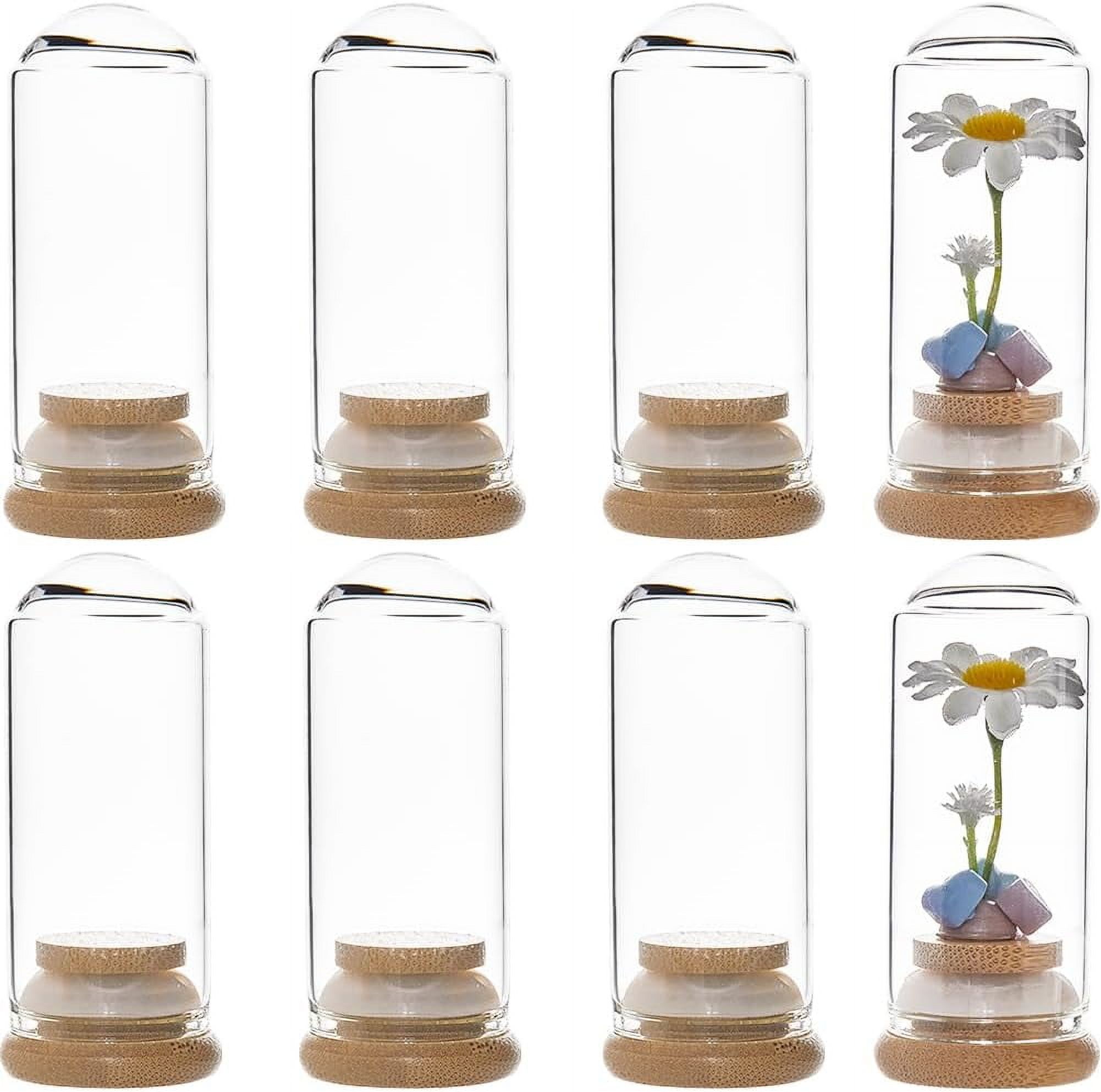 10Pcs Mini Glass Dome Cover 30x70mm Glass Bell Jar Cloche 35ml Small ...