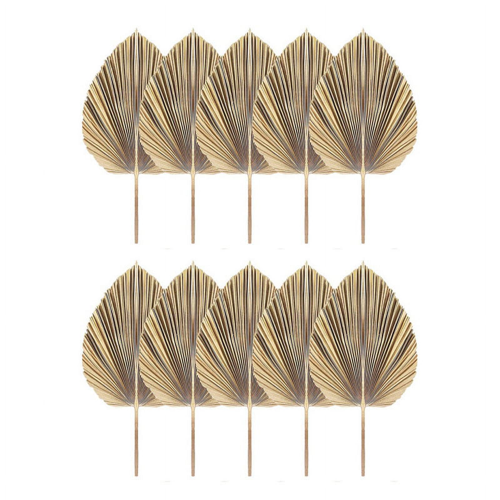 10Pcs Natural Dried Palm Leaves Tropical Dried Palm Fans Boho Dry ...