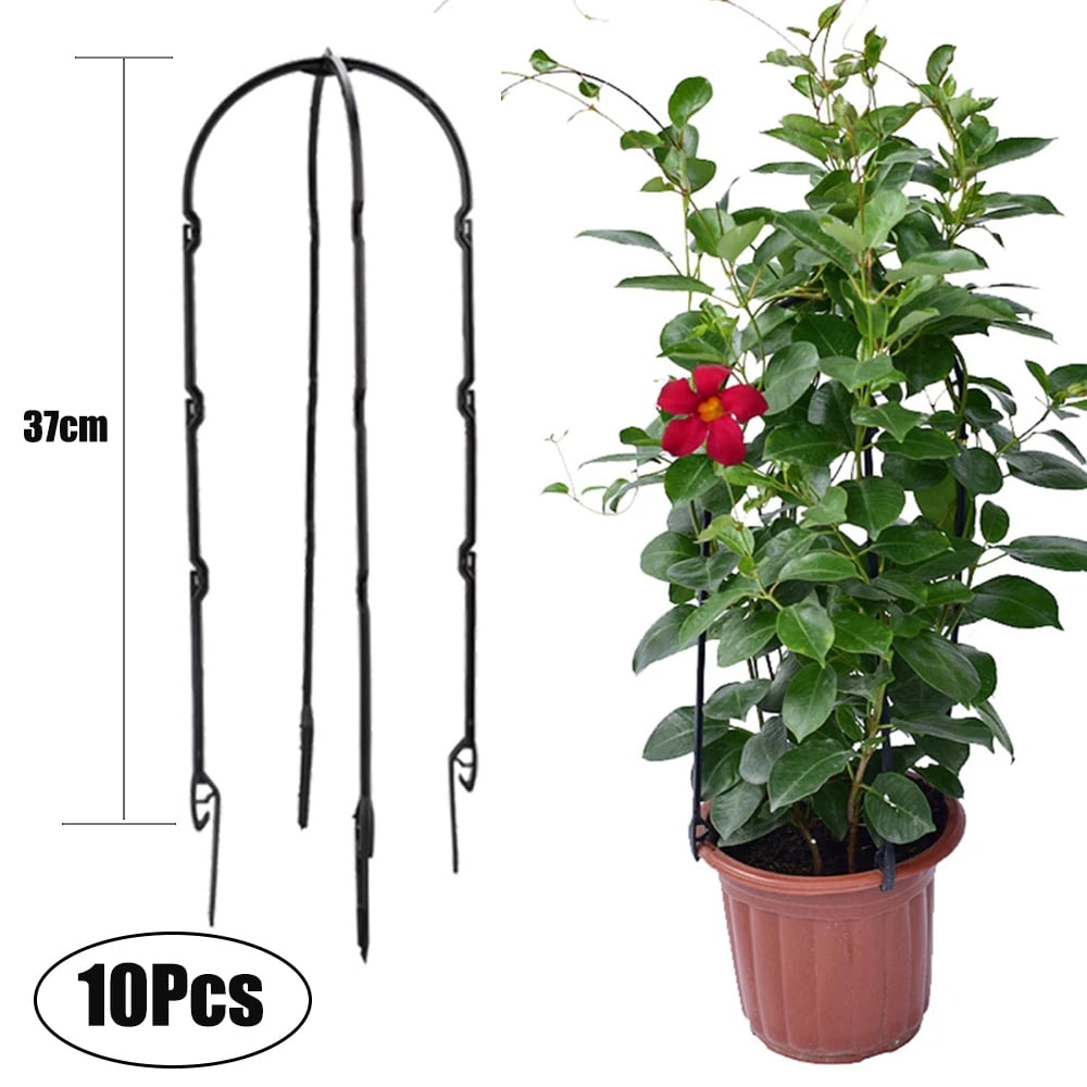 10Pcs Plant Climbing Supports U-shaped Plants Support Stands Climbing ...