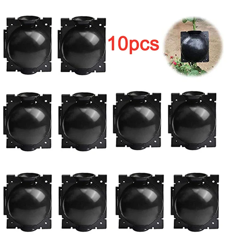 10Pcs Plant Rooting Ball Garden Grafting Box Reusable Sapling ...