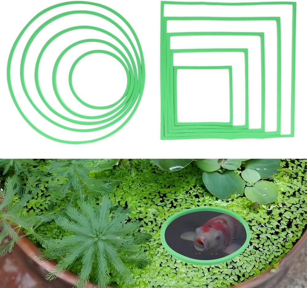 10Pcs Round & Square Fish Feeding Rings,Aquarium Floating Plant Corral ...