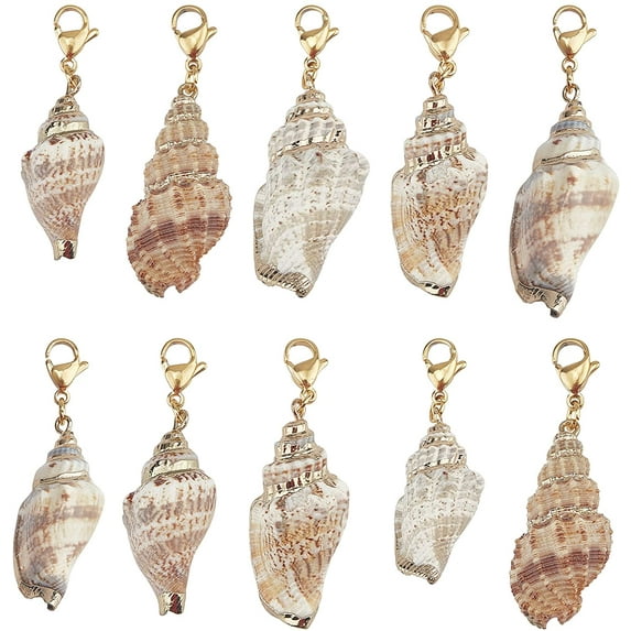 10Pcs Seashell Charms Oval Ocean Beach Spiral Natural Cowrie Conch ...