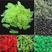 Semaspore Grasshopper Bait