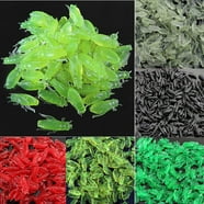 Magic Worm Food Fish Bait 12 oz Bag - Walmart.com