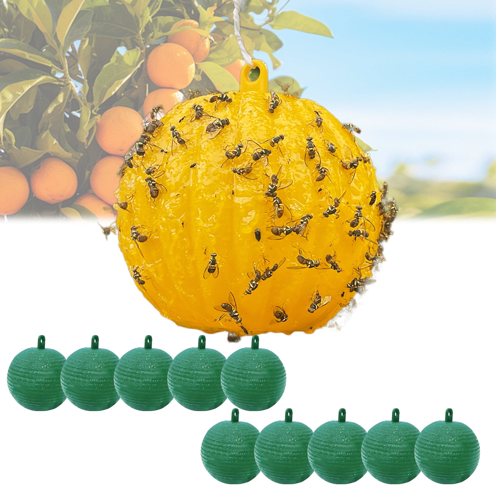 10Pcs Sticky Fruit Fly Trap Ball Adhesive Fly Catching Ball Sticky Glue ...