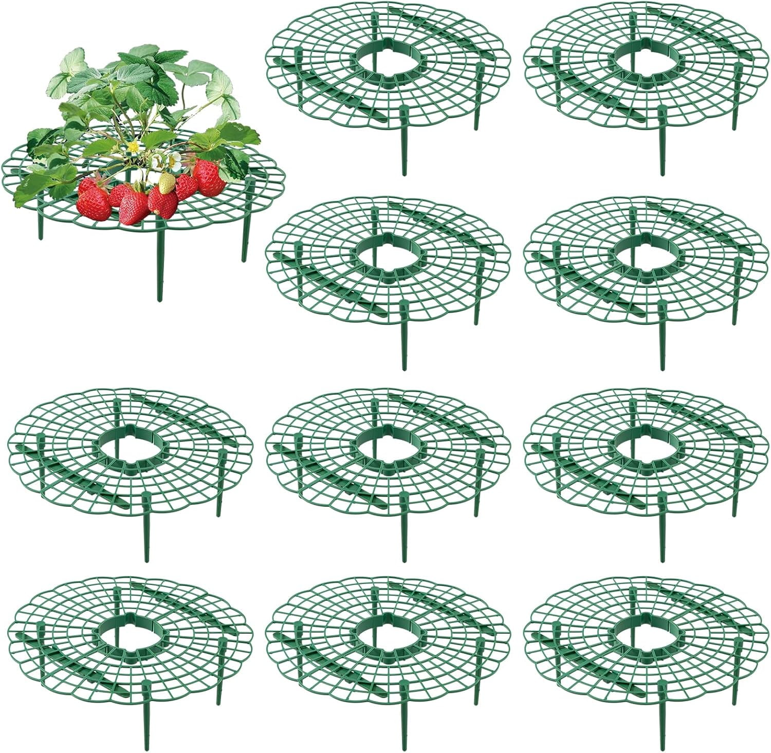 10Pcs Strawberry Growing Stand Strawberry Fruit Protection Support ...