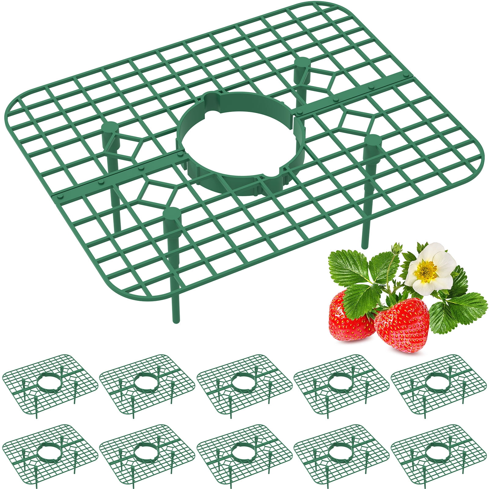 10Pcs Strawberry Plant Support Rectangular Strawberry Growing Racks ...