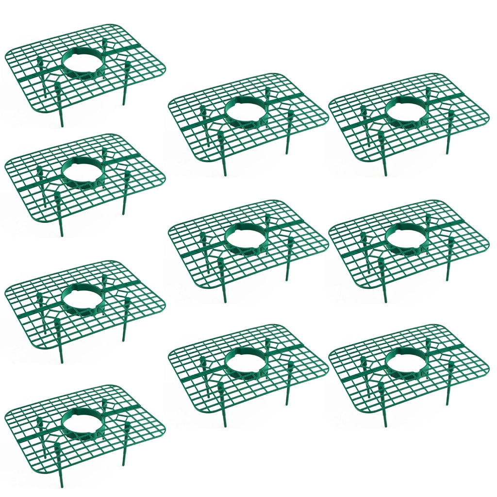 10Pcs Strawberry Plant Support Strawberry Growing Rack for Keeping ...