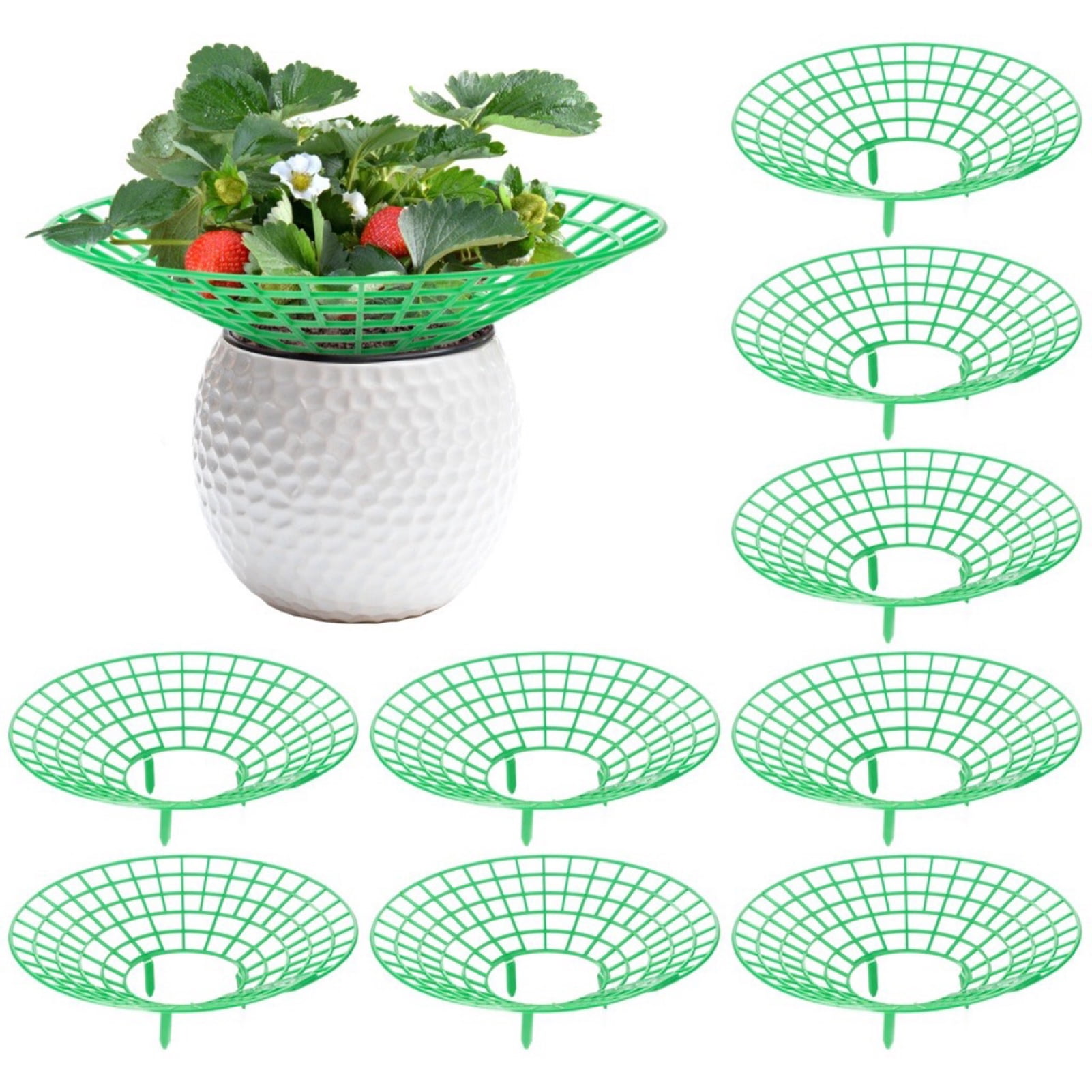 10Pcs Strawberry Plant Supports, Strawberry Plant Stand with 3 Sturdy ...