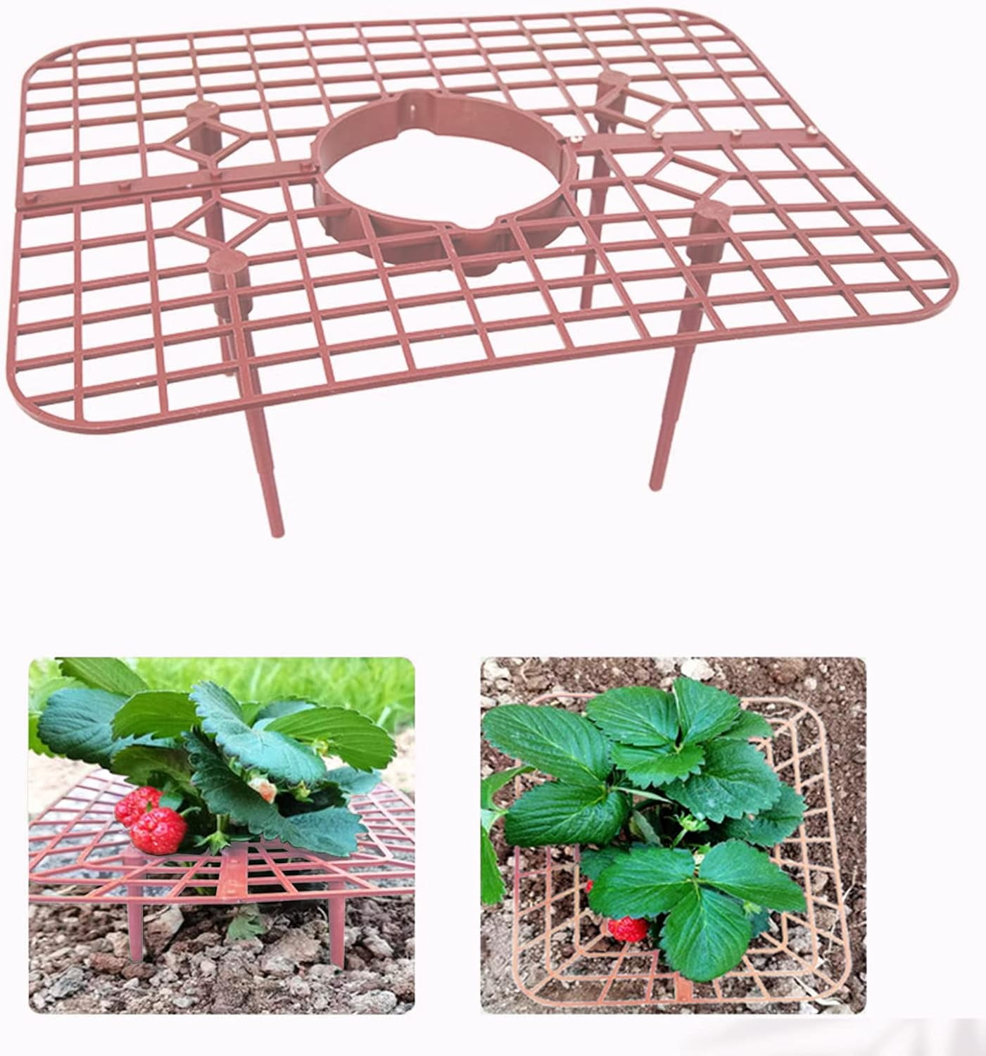 10Pcs Strawberry Supports Strawberry Plant Stand with 4 Sturdy Legs ...