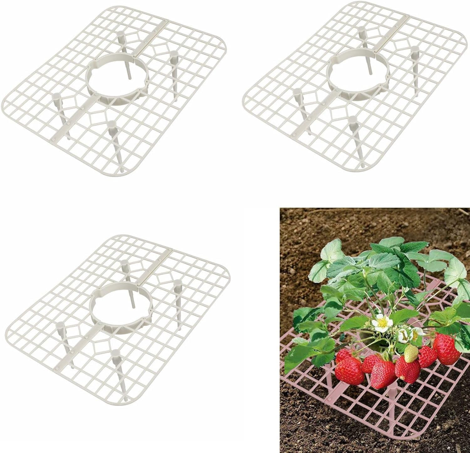 10Pcs Strawberry Supports Strawberry Plant Stand with 4 Sturdy Legs ...