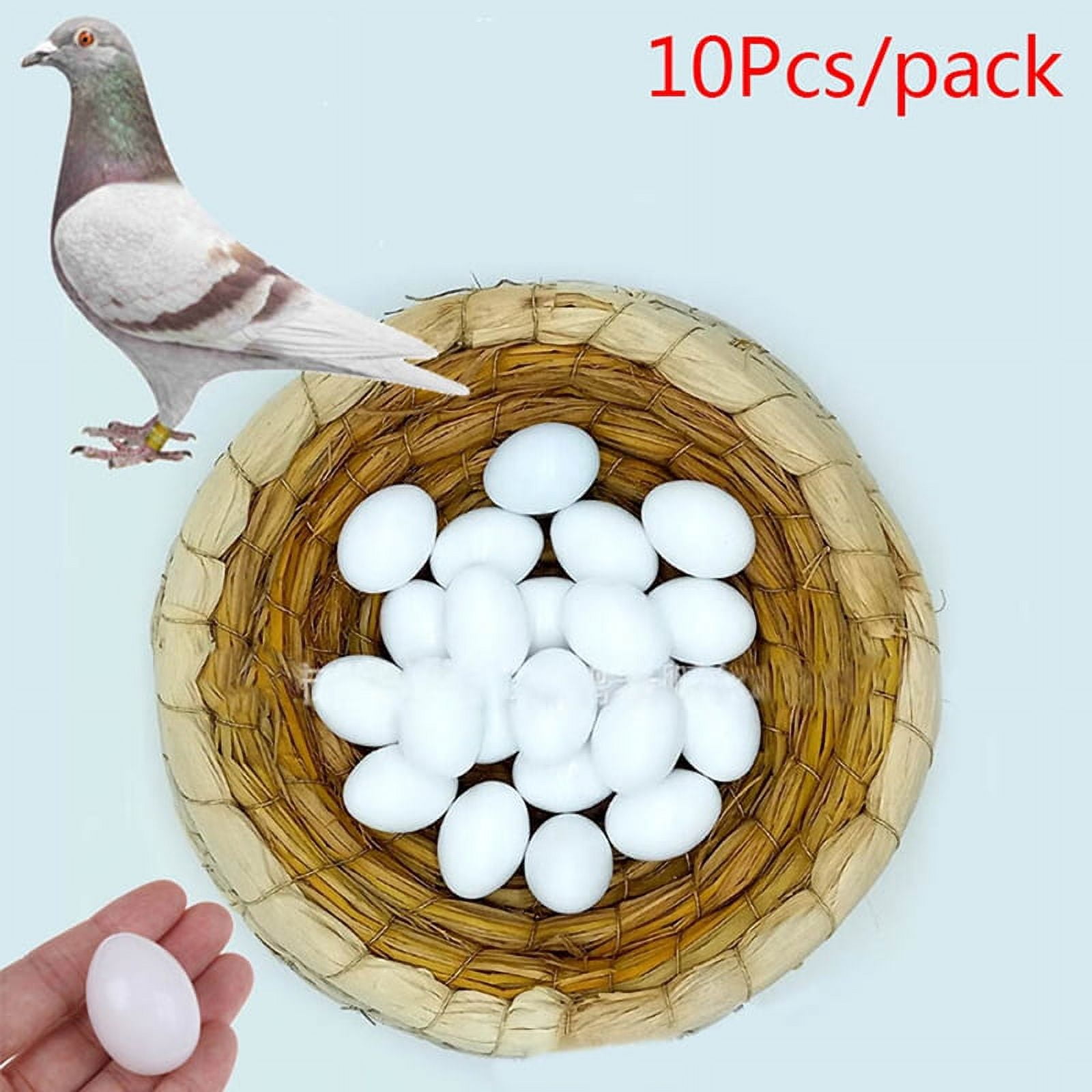 10Pcs White Solid Plastic Solid Pigeon Eggs Dummy Fake Eggs Hatching ...