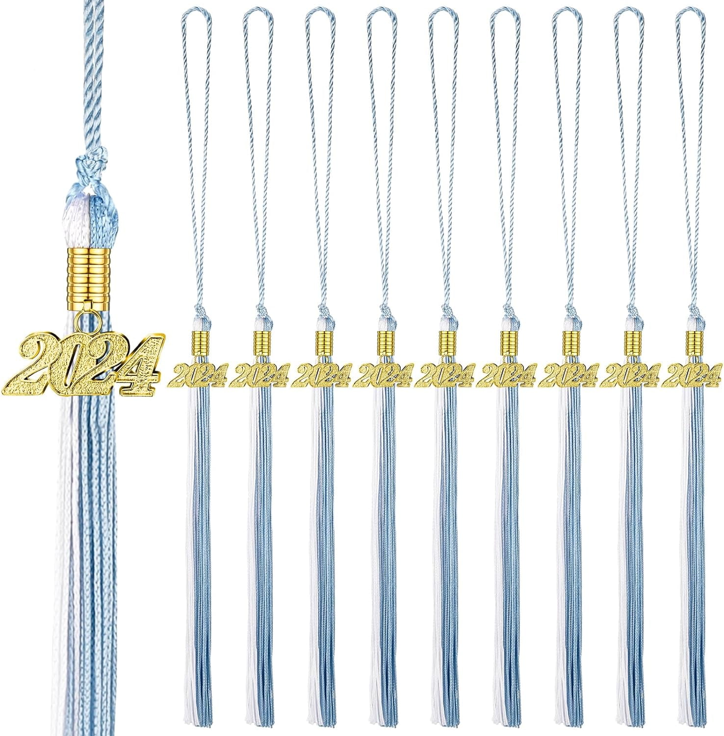 10Pieces 2024 Grad Graduation Tassels Graduation Cap Tassels Graduation ...
