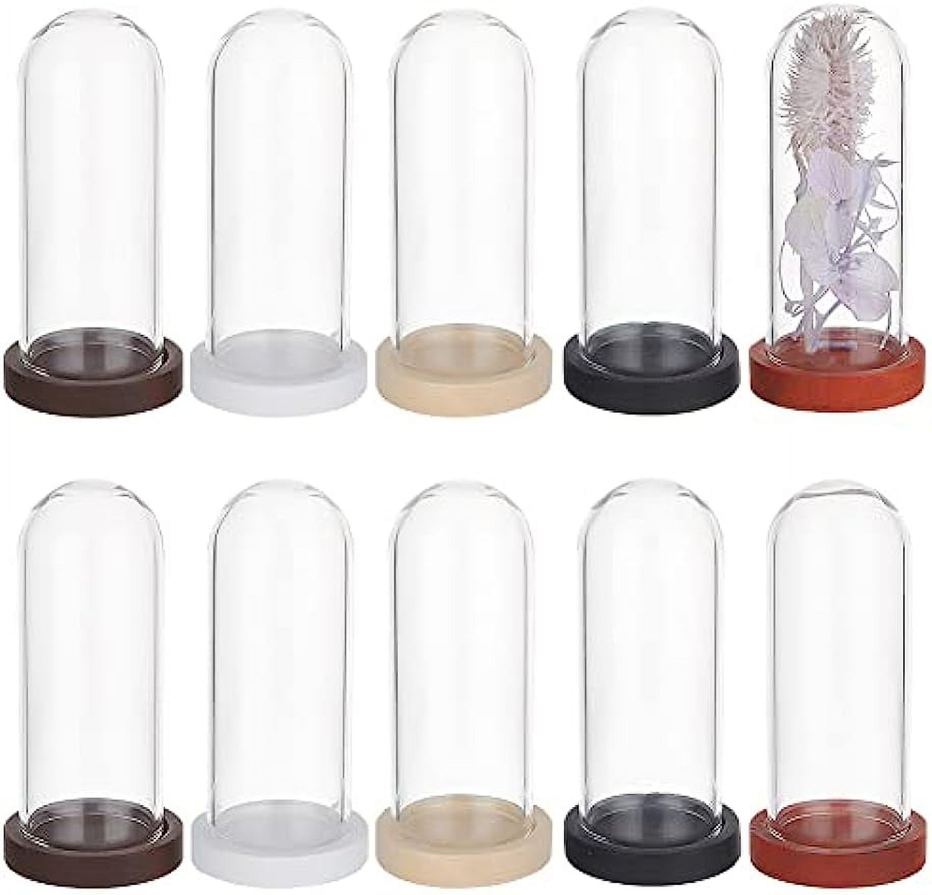 10Sets Glass Display Cloche Dome Mini Cloche Bell Jar with Wood Base ...