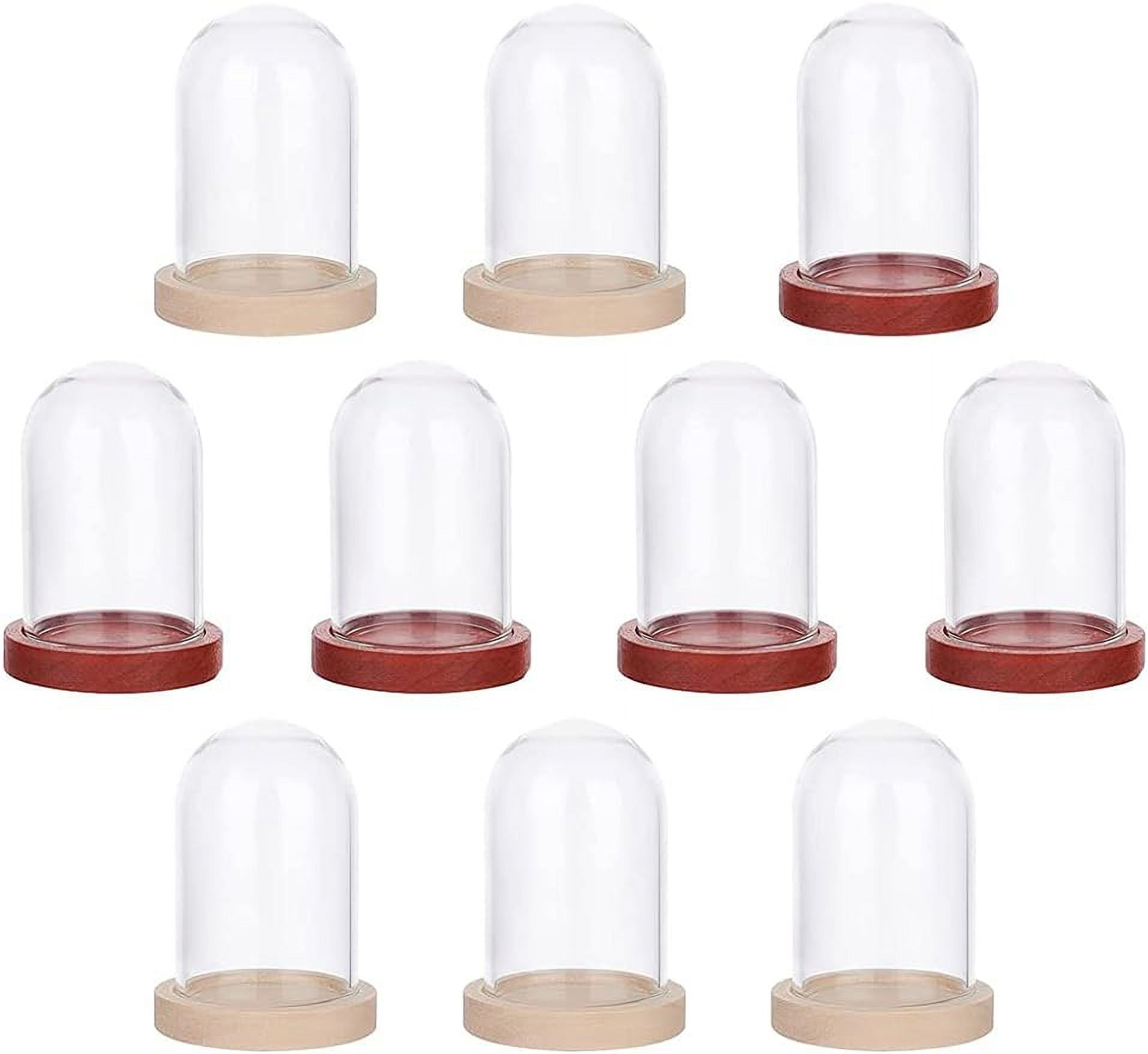 10Sets Mini Eternal Flower Glass Dome Cloche Clear Glass Display Case ...