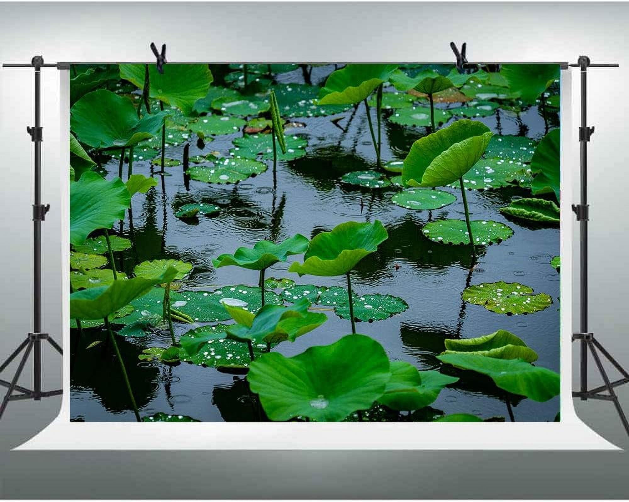 10X6FT Green Lotus Leaves Pond Backdrop Sparkling Dew Background for ...