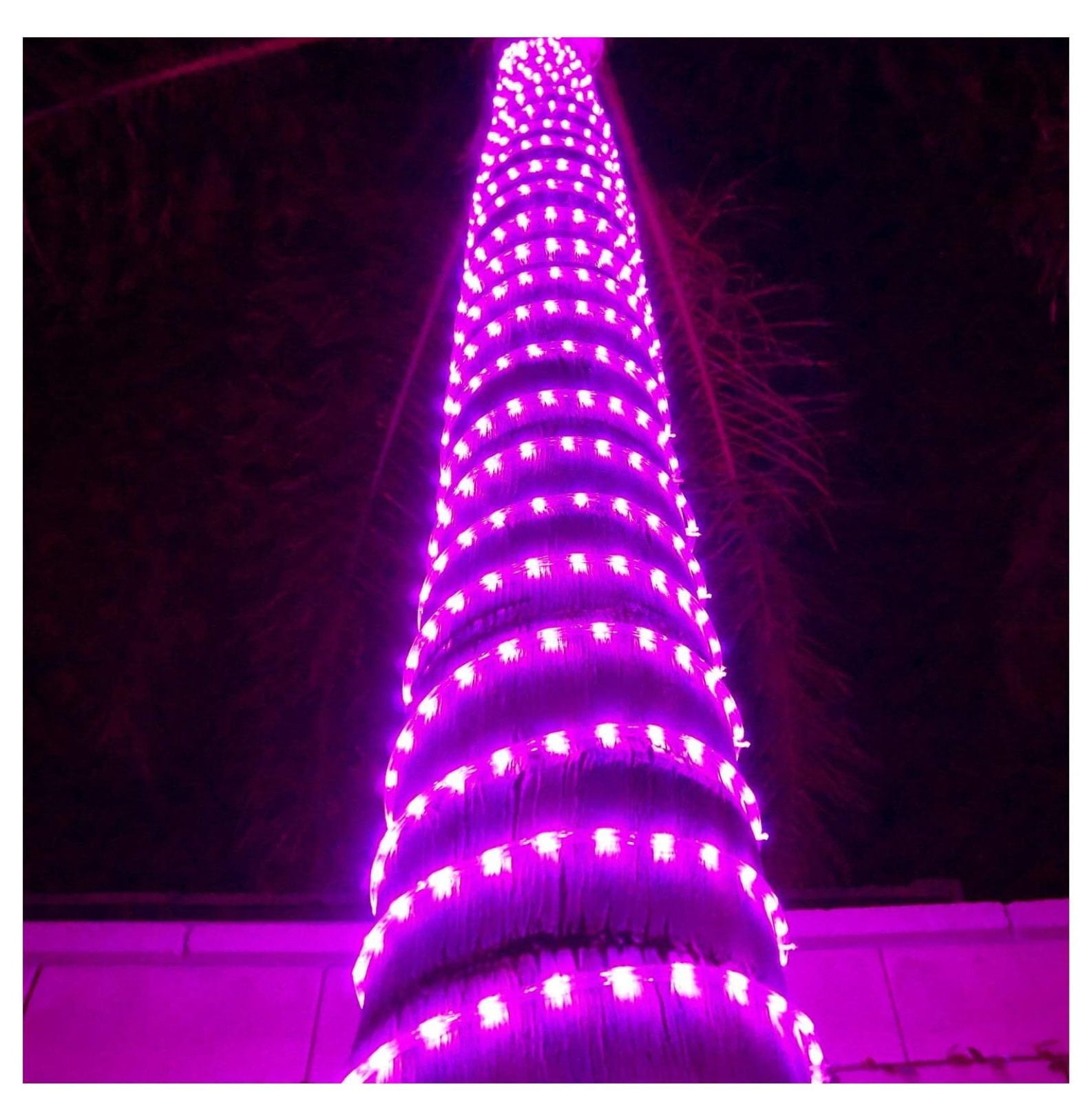 10ft/ Led Rope Lights Lamps Kit Indoor Outdoor Decorative Lighting for Party Wedding Valentine's ...