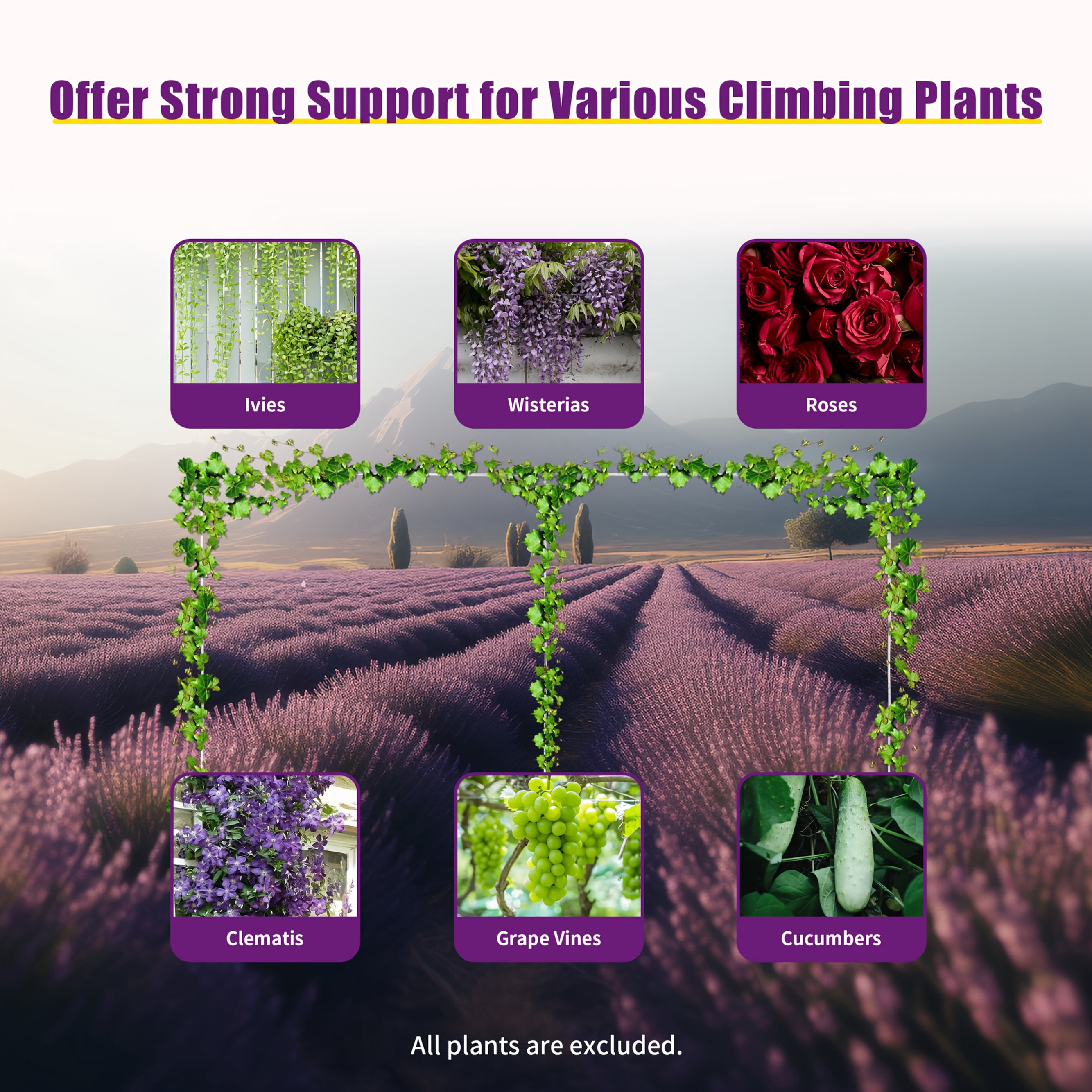 10ftx20ft Portable Pipe and Drape Backdrop Stand for Parties Wedding ...