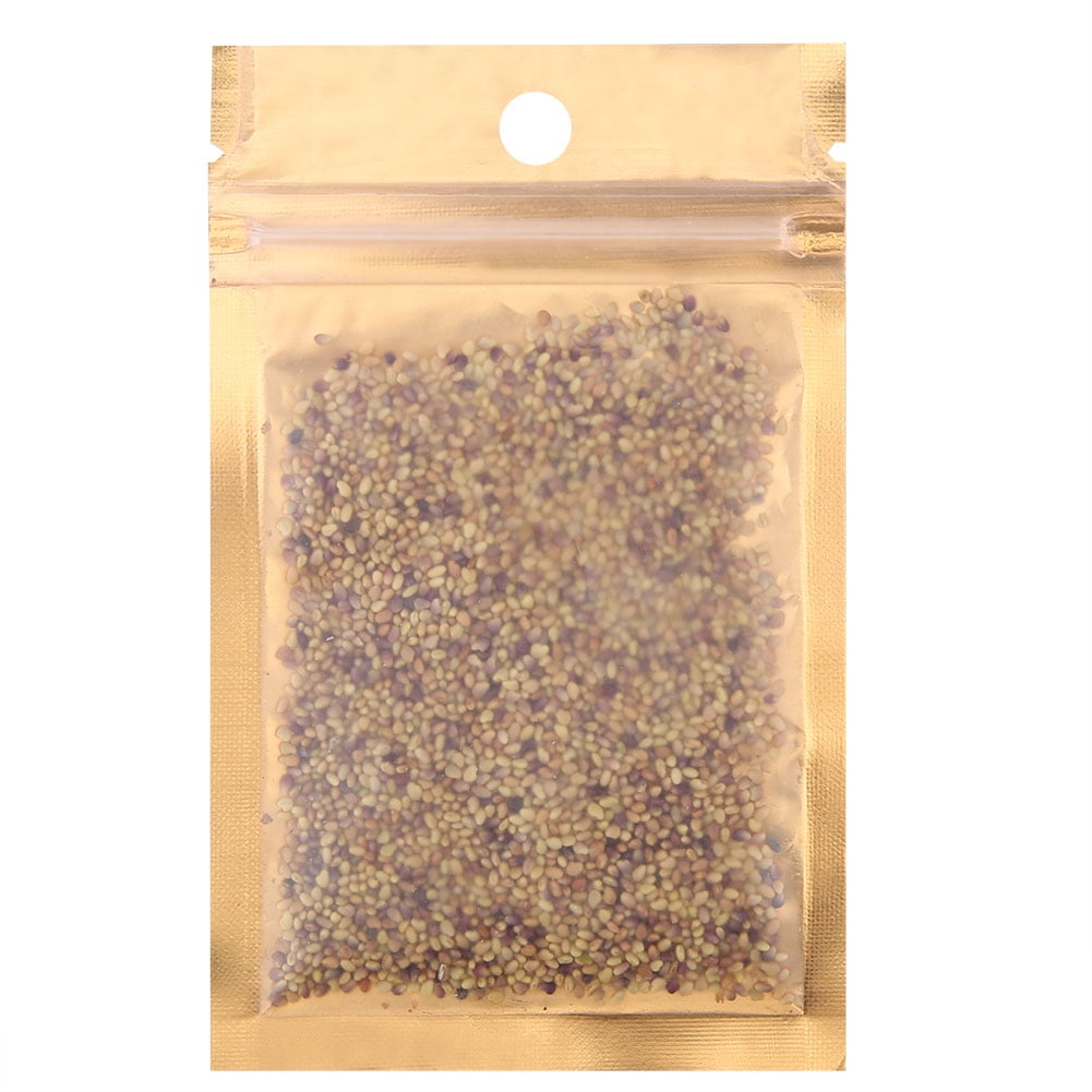 10g Easy Water Aquatic Live Grow Plants Seed Fish Tank Aquarium ...