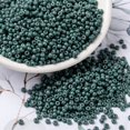 10g MIYUKI Round Rocailles Beads Japanese Seed Beads 8/0 (RR4481 ...