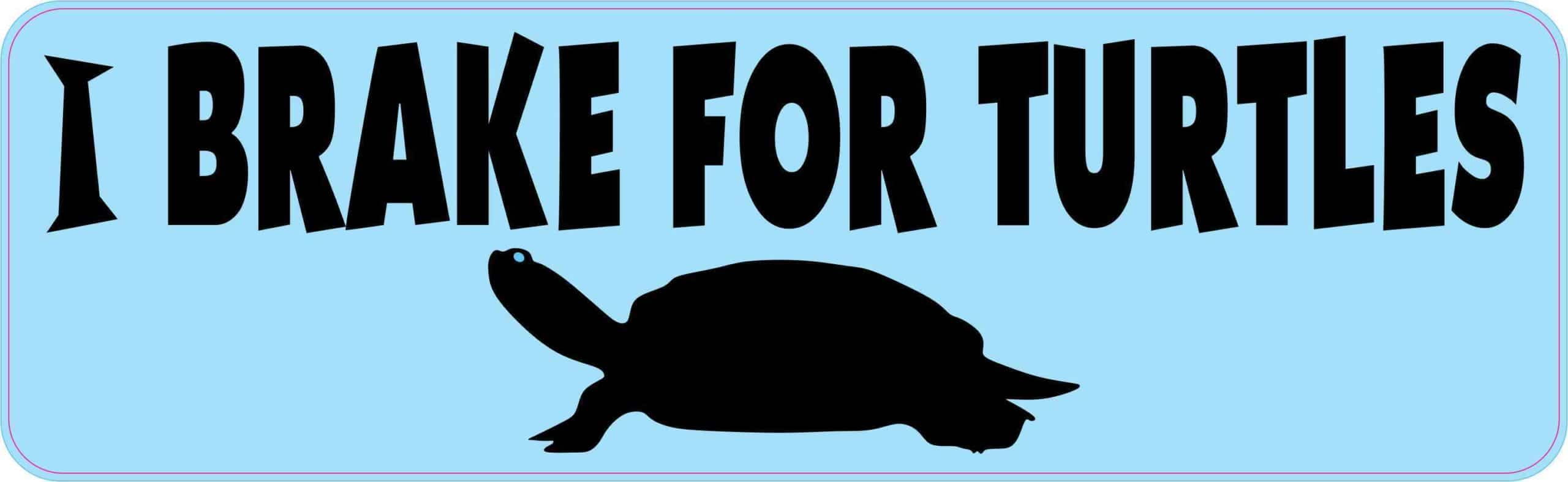10in x 3in I Brake for Turtles Vinyl Sticker - Walmart.com