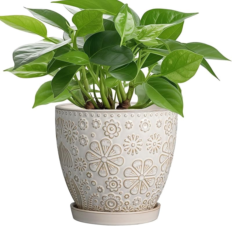 10inch Ceramic Flower Pot with Drainage Hole and Tray, Round Flower Pot ...