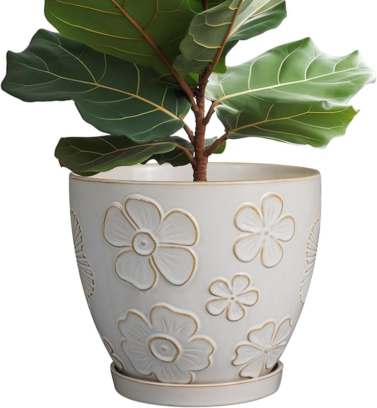 10inch Ceramic Flower Pot with Drainage Hole and Tray, Round Flower Pot ...