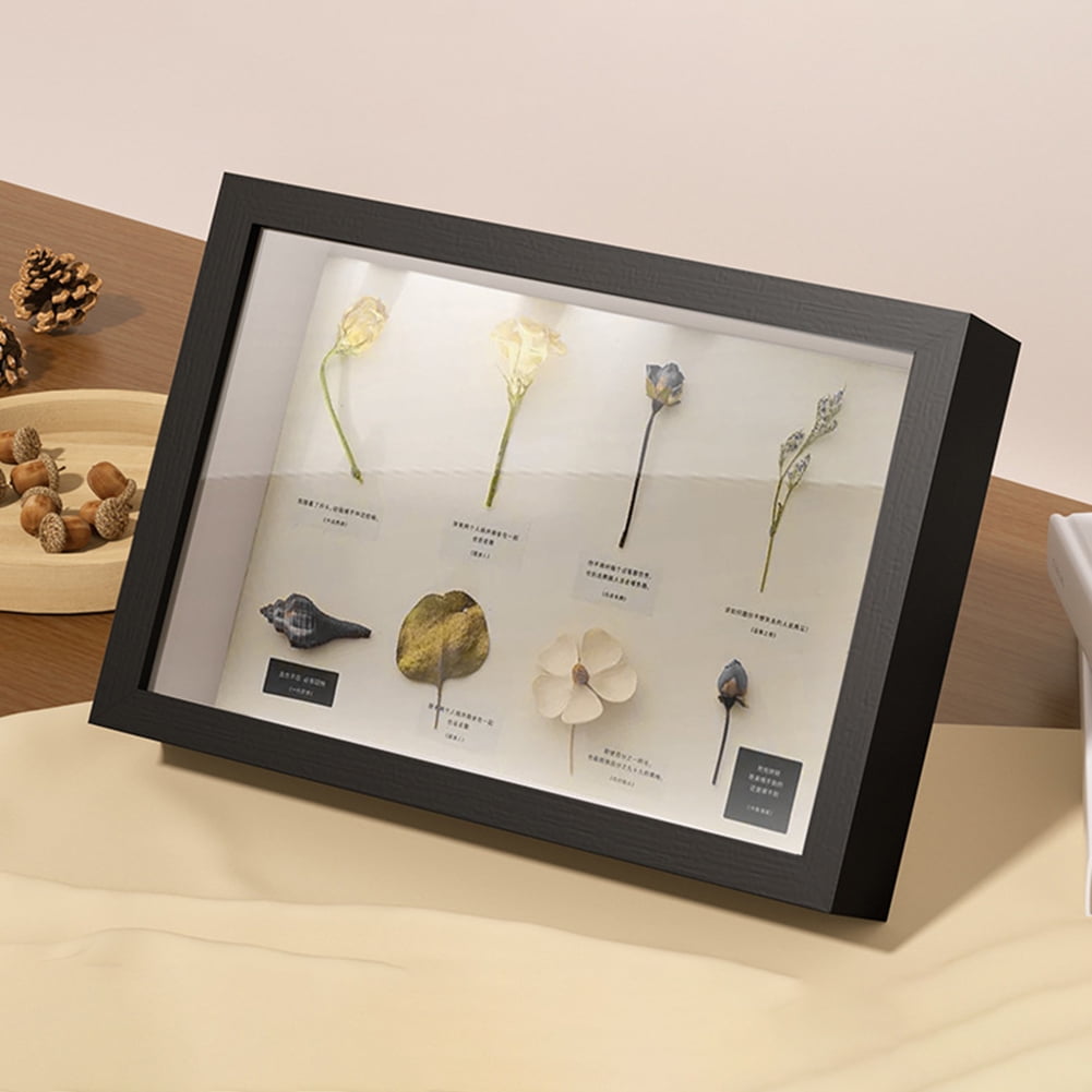 10inch Shadow Box Frame Display Case, Display Case Box for Memorabilia ...