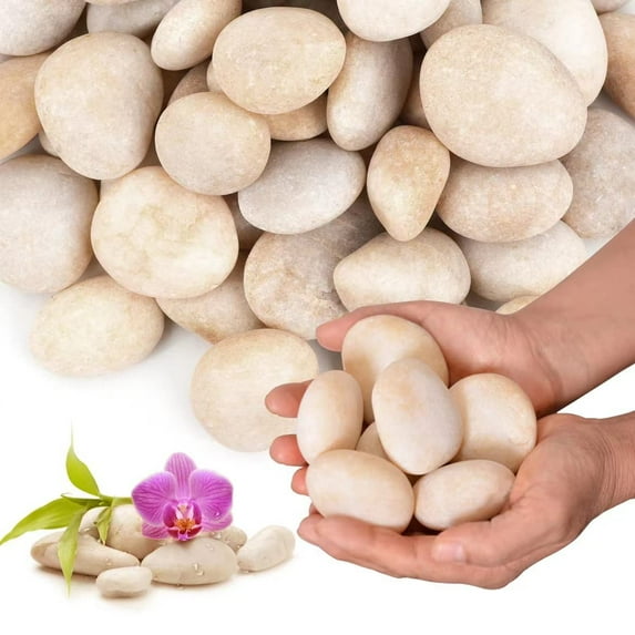 10lb Cream White River Rocks Outdoor Landscaping- Polished Pebble for ...