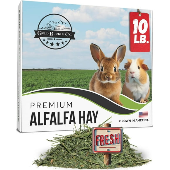 Rabbit Food in Rabbits - Walmart.com