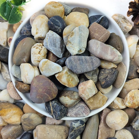 10lbs Aquarium Rocks, 5/8" Natural River Rocks for Plants Decorative ...