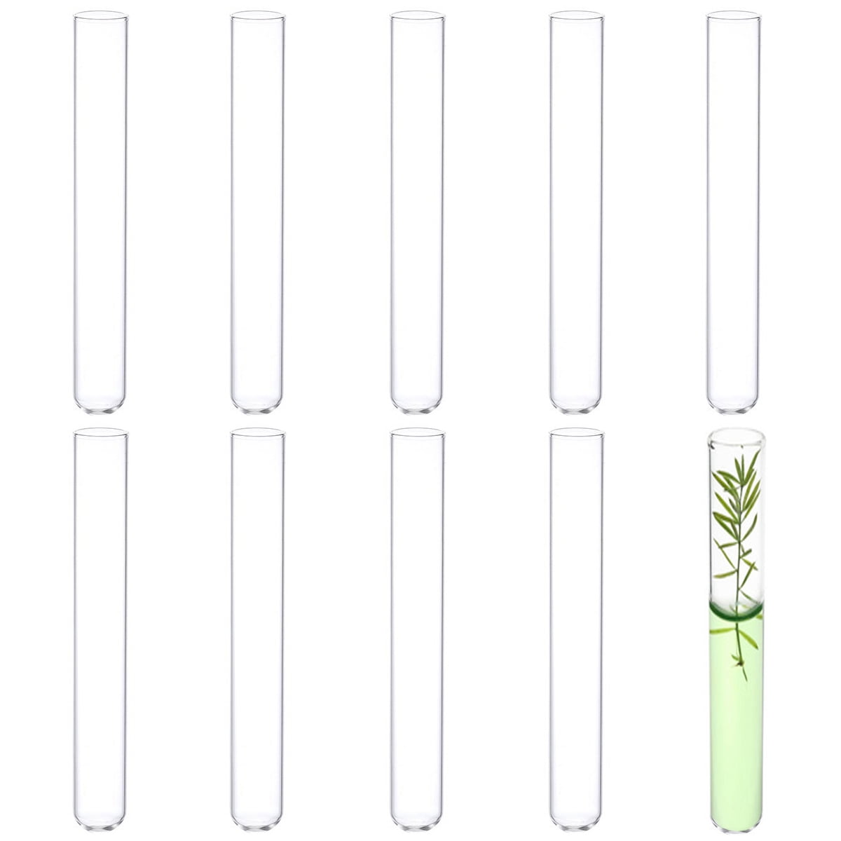 10pcs 45ml Borosilicate Glass Round Bottom Test Tubes, 20mmx200mm Clear ...