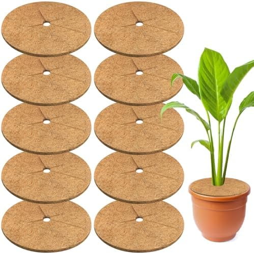 10pcs Coconut Fiber Mulch Ring Tree Plant Protector Mat, 14 Inch ...