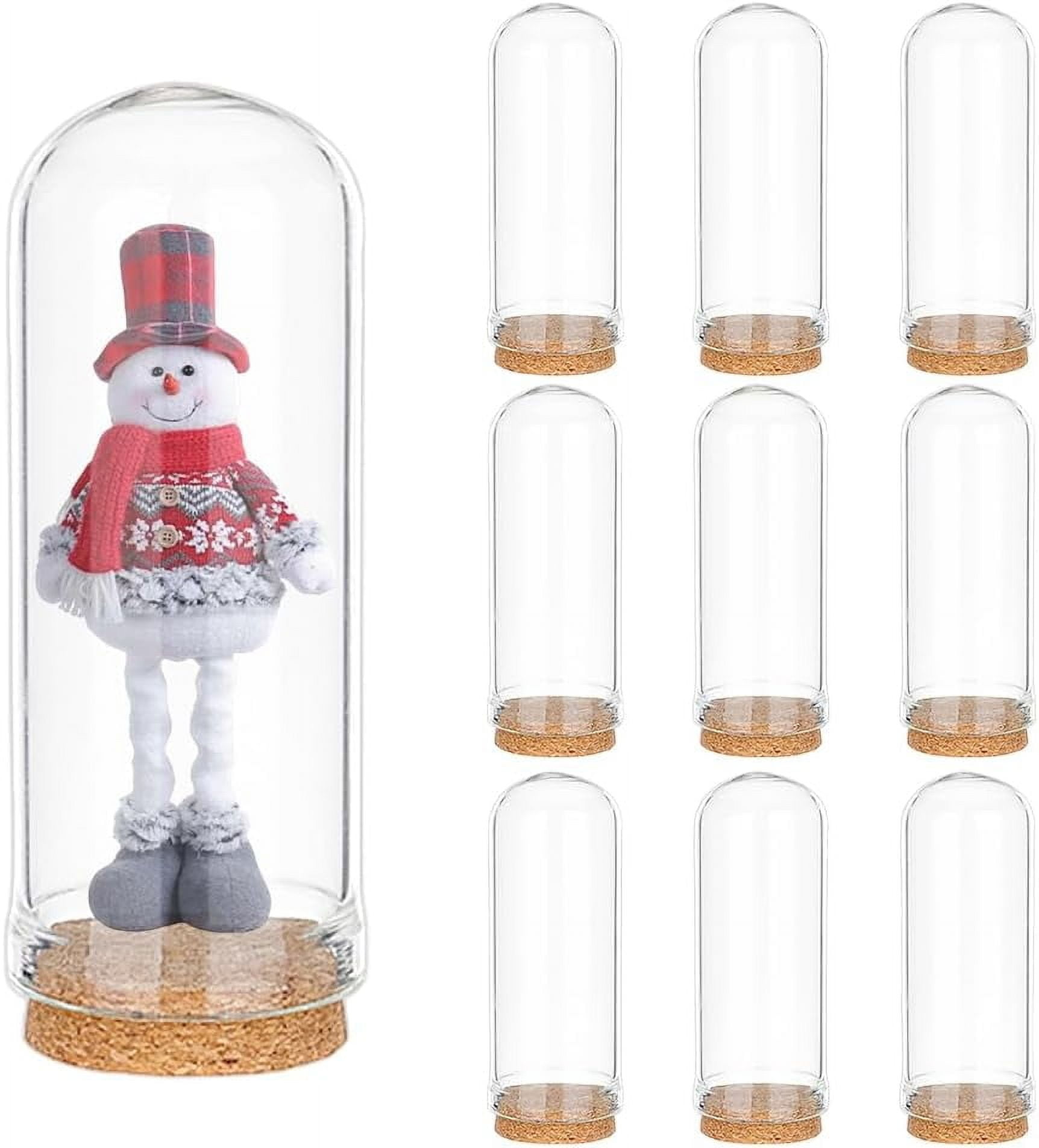 10pcs Glass Display Dome Cloche 20ml Display Bottles Bell Jar Display ...