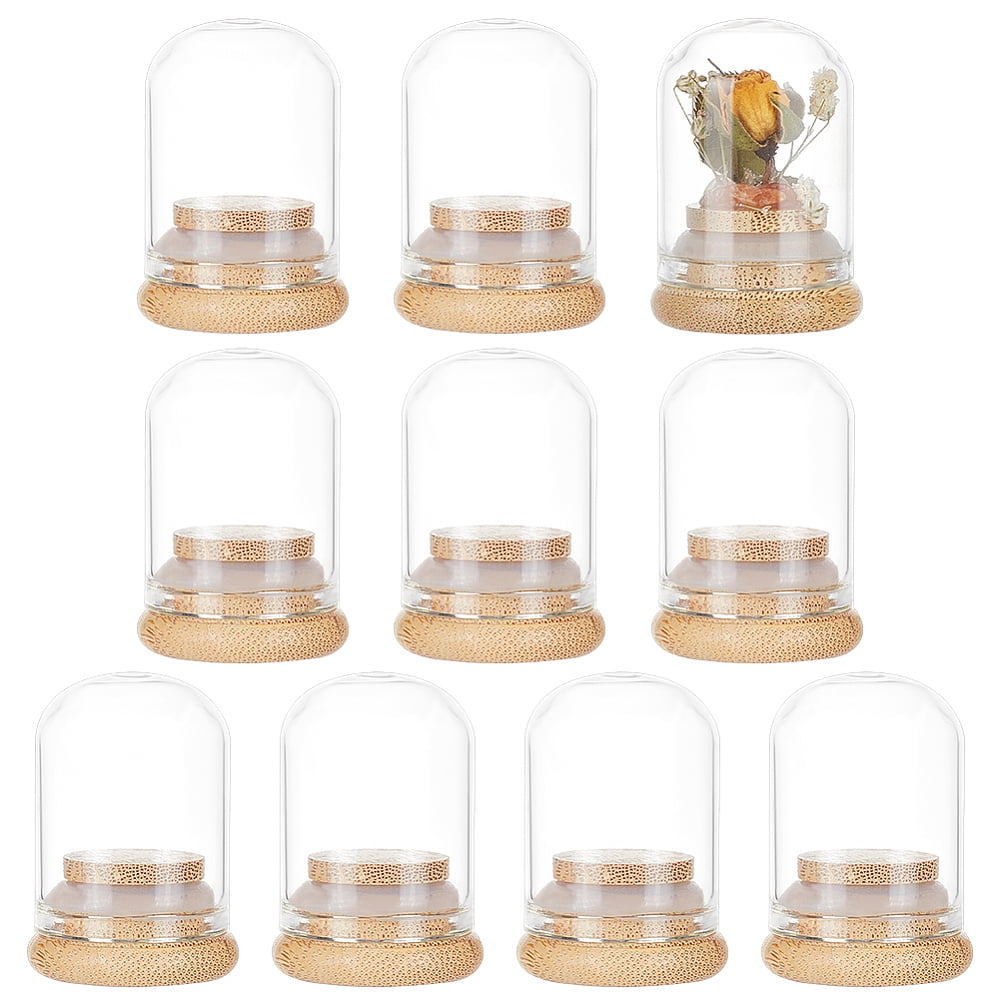 10pcs Glass Dome Cover Decorative Display Case Cloche Bell Jar ...