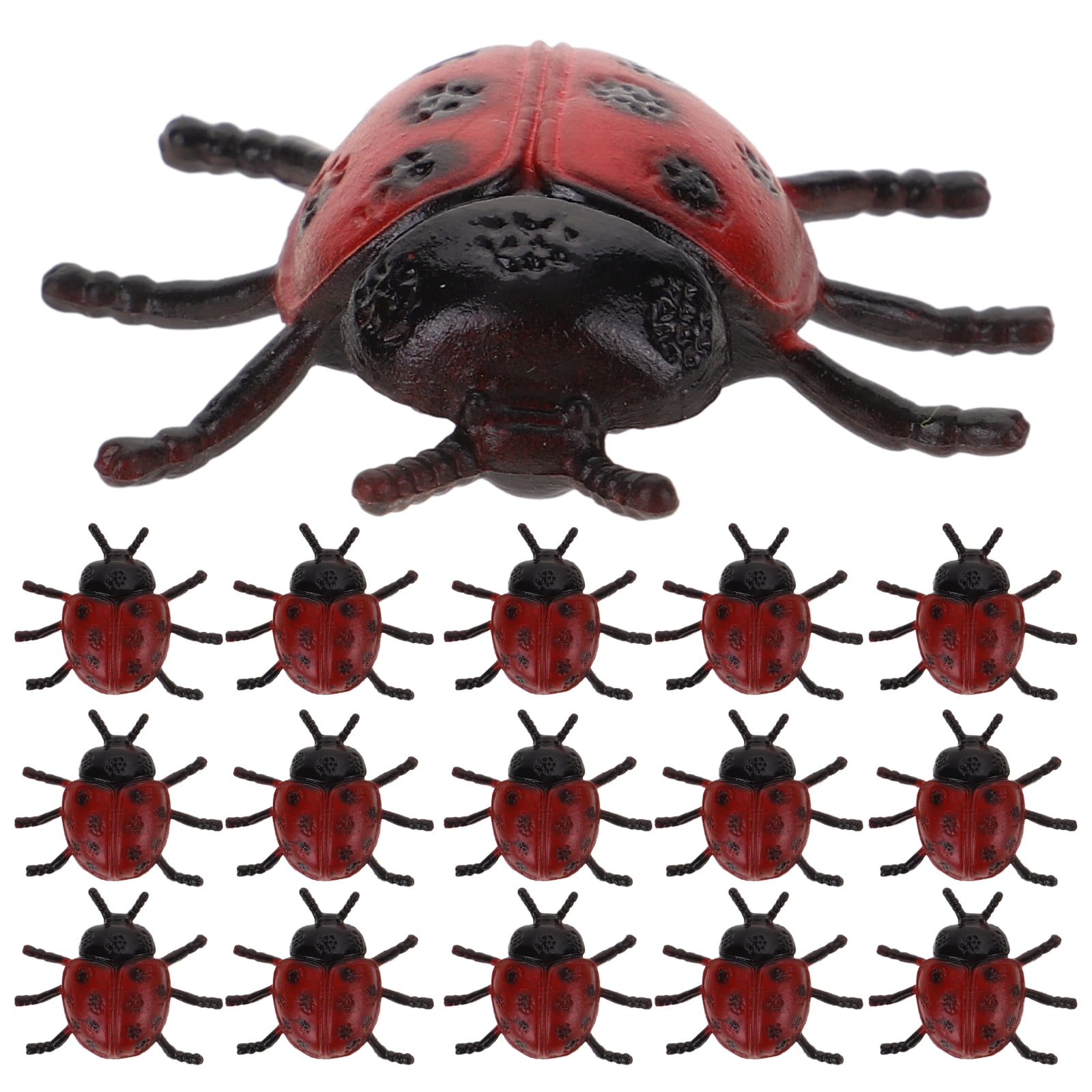 10pcs Ladybug Toys Garden: Ladybug for Props Party Favors 30pcs ...