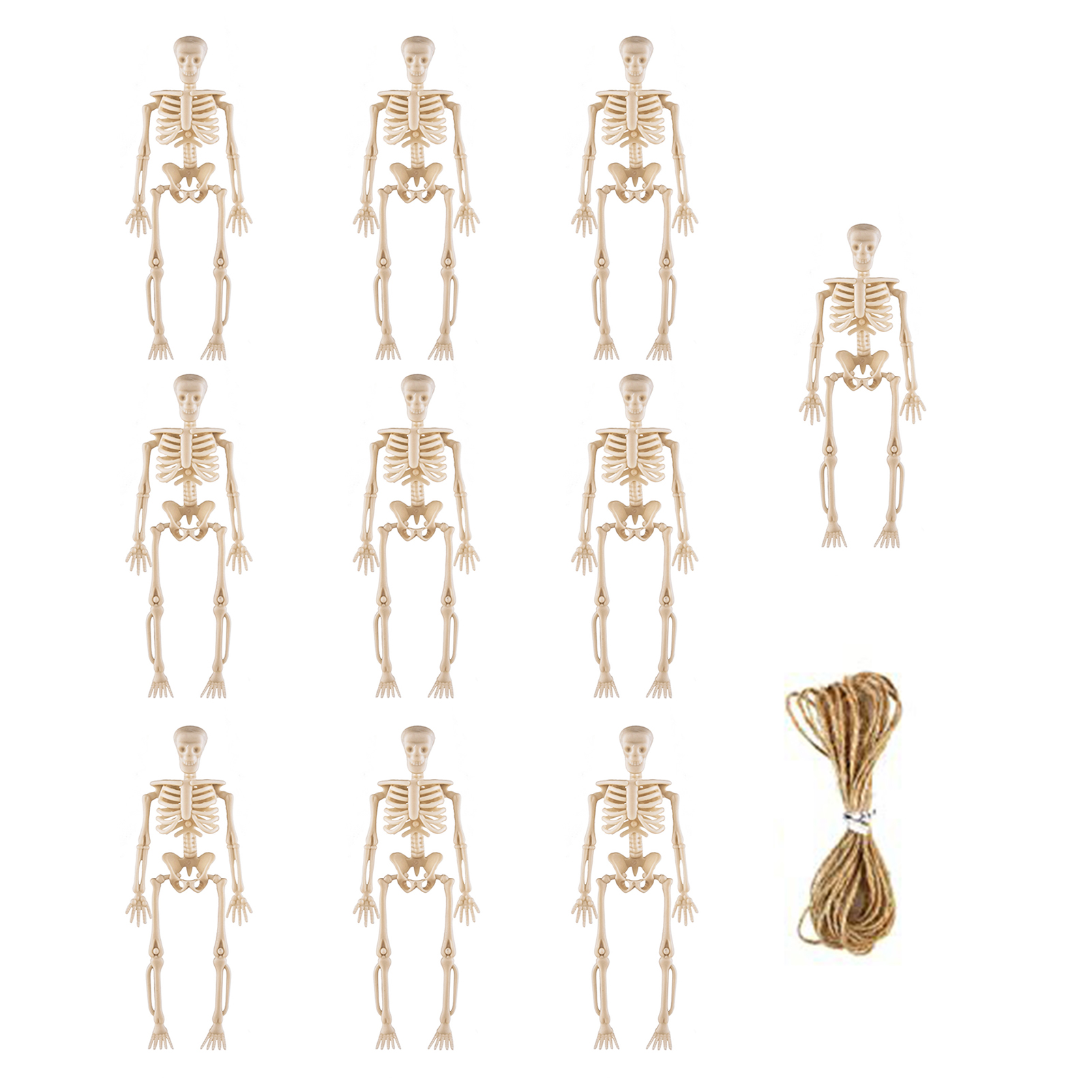 10pcs Mini Skeleton Figurine Decoration 6" Posable Human Bone Statue ...