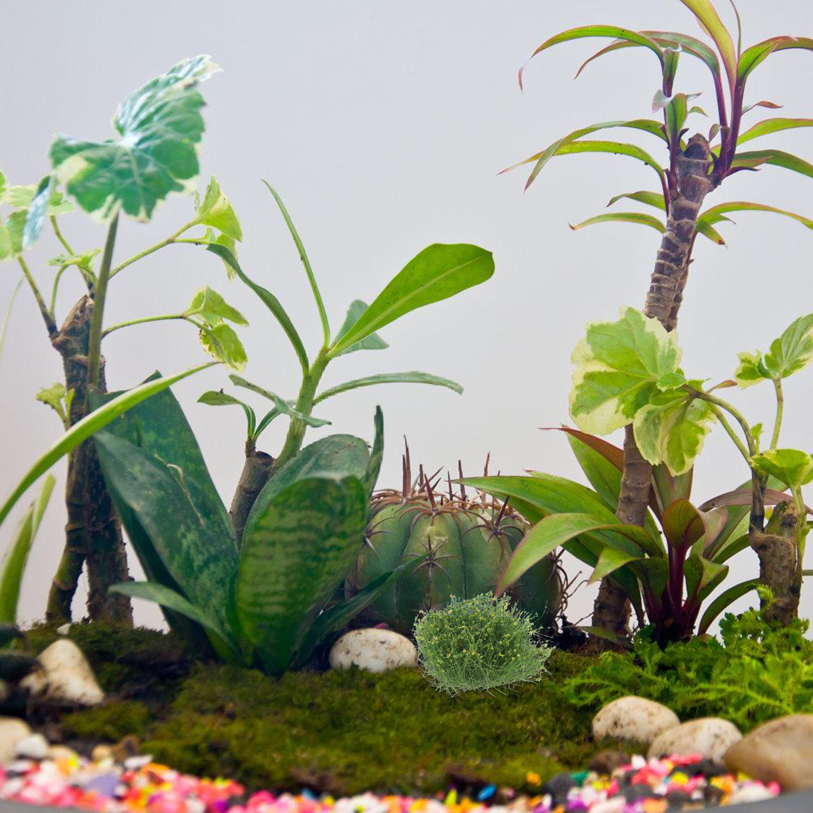 Miniature Handmade Grass Tufts for Decor Realistic Artificial Plants ...