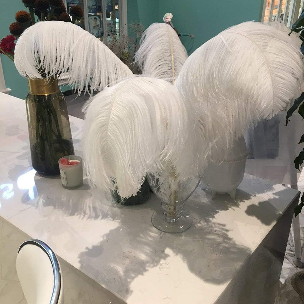 10pcs Ostrich Feathers,Ostrich Plume,Wedding centerpieces Feathers ...