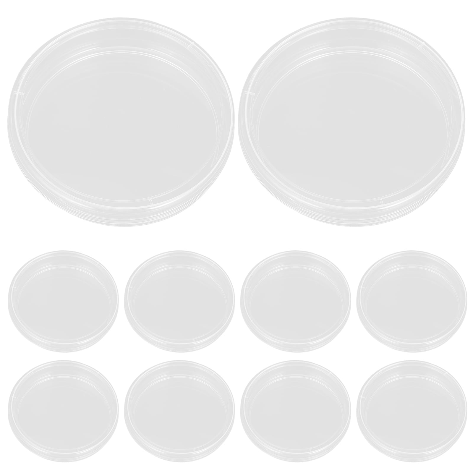 10pcs Petri Dishes Lab Dishes Cell Culture Dish Lab Petri Dishes Petri ...