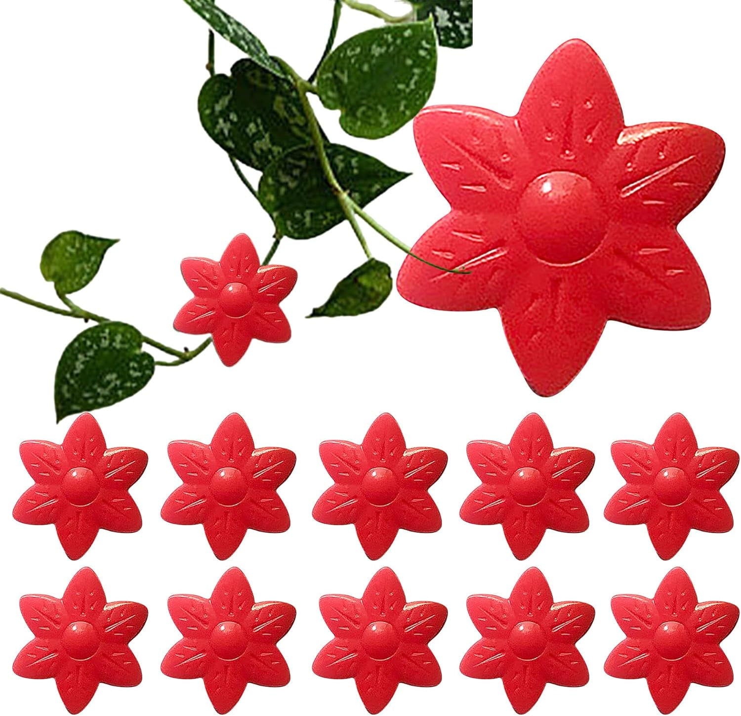 10pcs Plant Climbing Wall Clips, Self-Adhesive Plant Vine Fixture Hooks ...