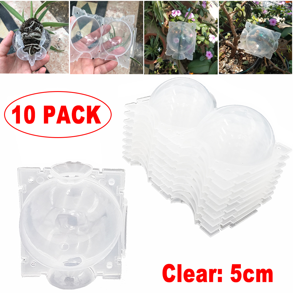 10pcs Plant Root Ball Grafting Rooting Growing Box Clear Breeding Case ...