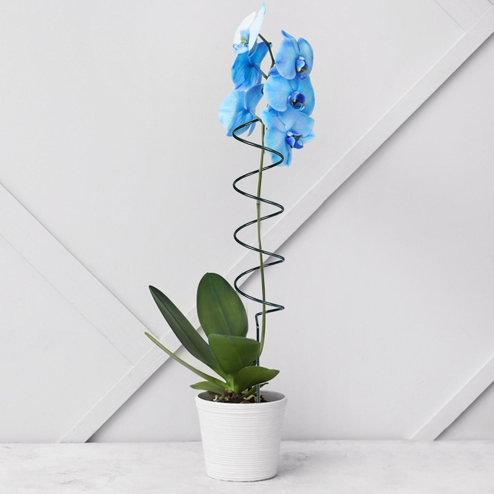 10pcs Plant Support Stakes Spiral Tomato Cages Climbing Plant Stake ...