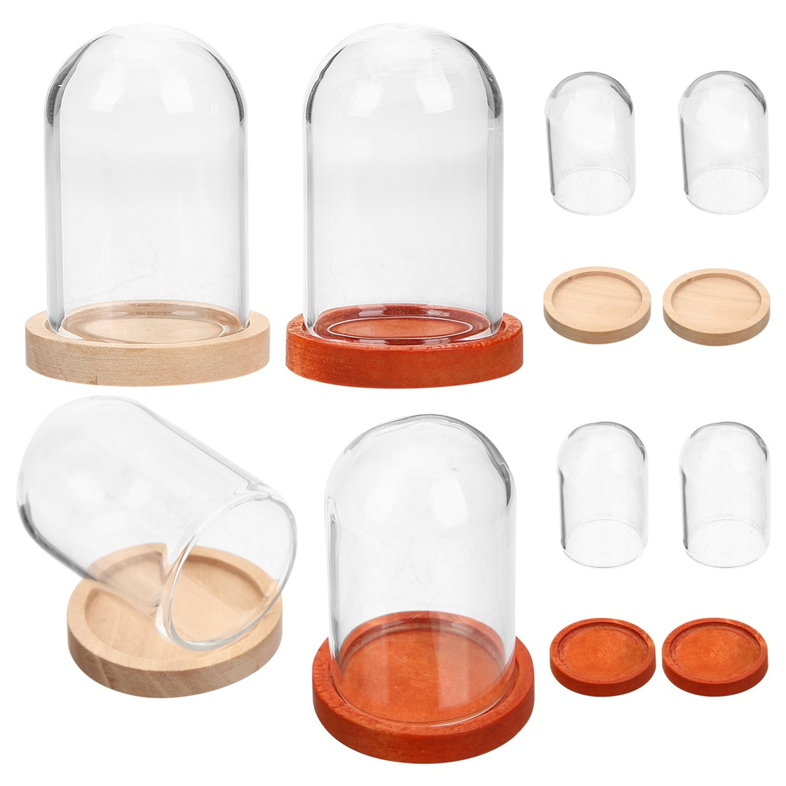 10pcs Glass Display Dome Plant Dome Glass Case with Base - Walmart.com