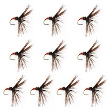 Wet Fly Assortment - 16 Popular Nymphs - 8 Patterns in Sizes 12-18 ...