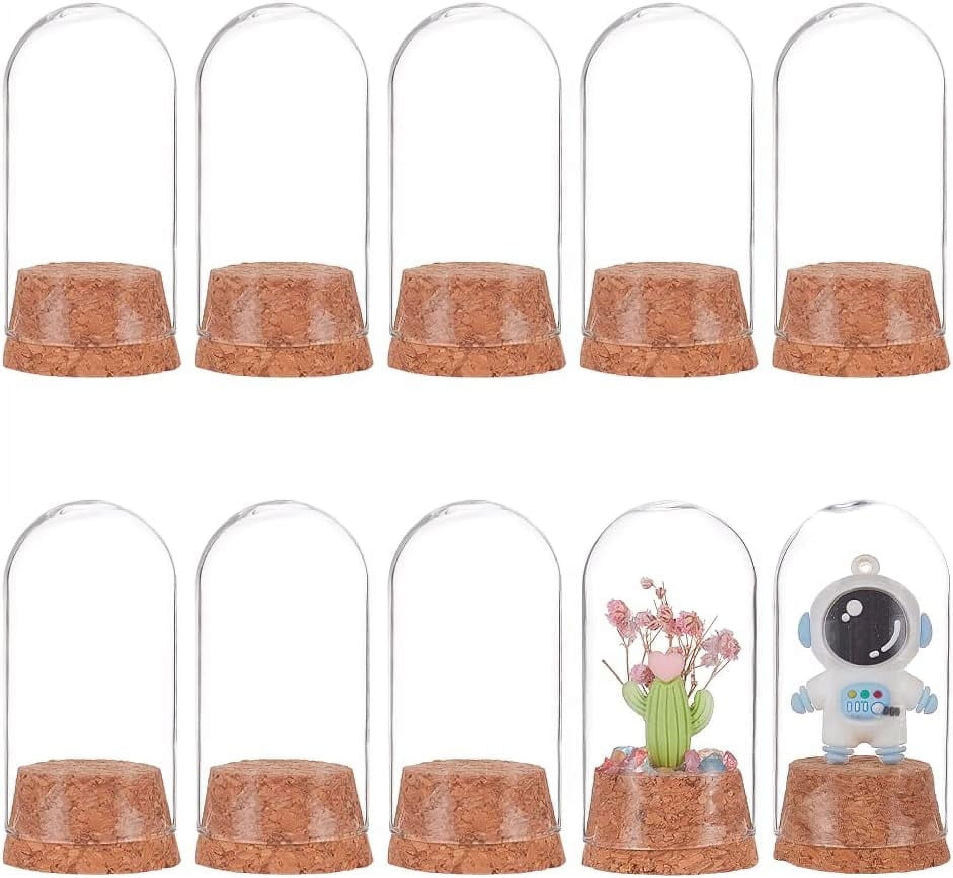 10set Glass Dome Cover Decorative Display Case Cloche Bell Jar ...